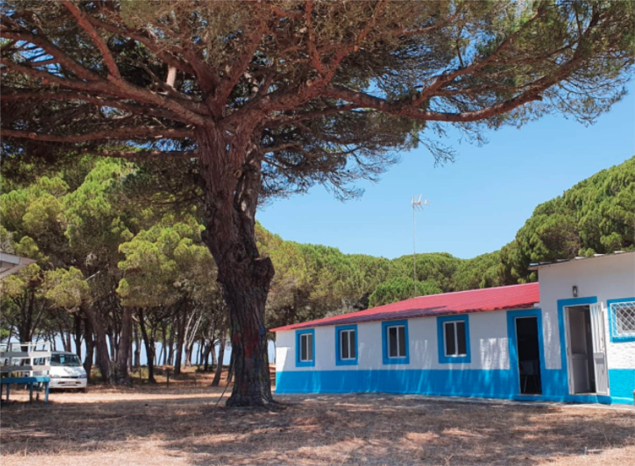 Colonia de Ferias SOS no Meco - Aldeias de Crianças SOS