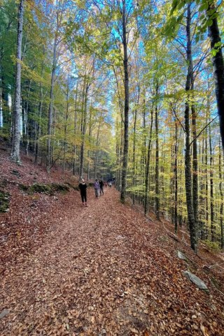 Aldeia SOS da Guarda em passeio pela Rota das Faias - Aldeias de ...